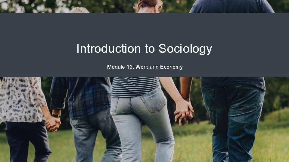 Introduction to Sociology Module 16 Work and Economy