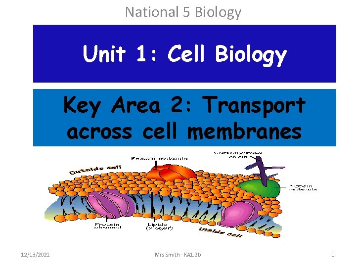 National 5 Biology Unit 1 Cell Biology Key