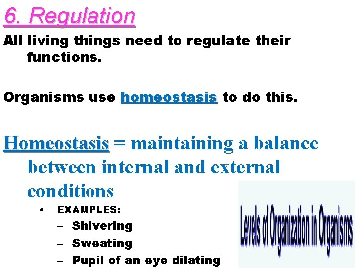 Themes of Biology Characteristics of Life and Intro