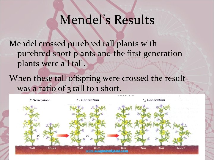 The History of DNA THE SCIENTISTS WHO DISCOVERED