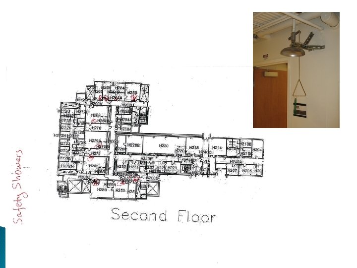 Health Safety Emergency Evacuation and Operations Plan Department