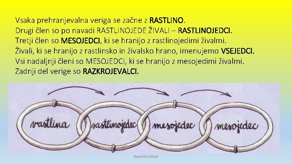 Prehranjevalne verige ALI KDO BO KOGA POJEDEL Apolonija