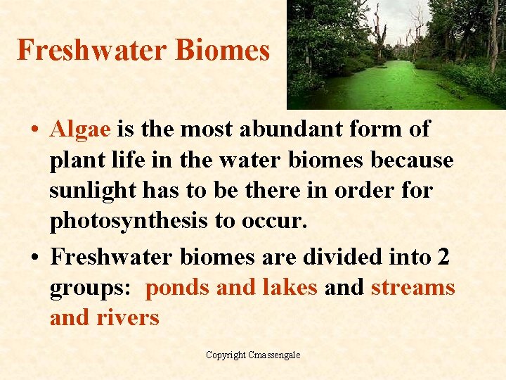 BIOMES Copyright Cmassengale Biogeography study of where organisms