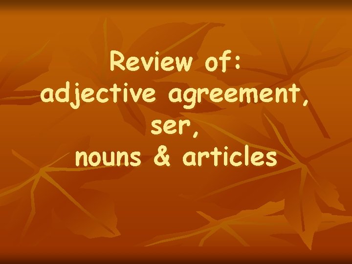Review of adjective agreement ser nouns articles Adjective