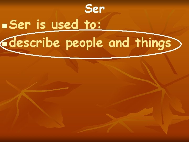 Review of adjective agreement ser nouns articles Adjective