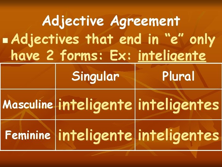 Review of adjective agreement ser nouns articles Adjective