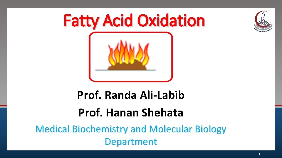 Fatty Acid Oxidation Prof Randa AliLabib Prof Hanan
