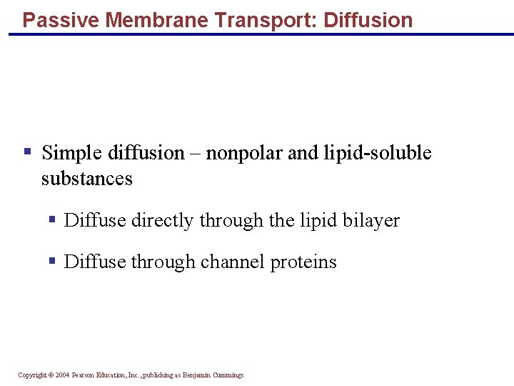 Cell Theory The cell is the basic structural