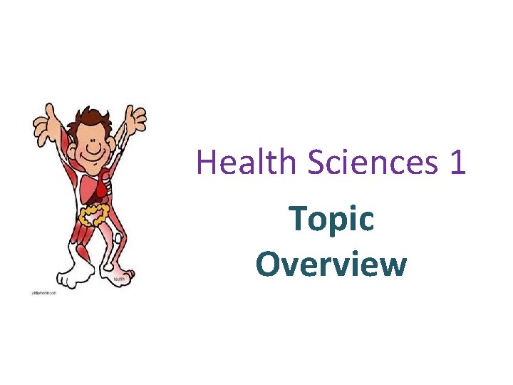 Health Sciences 1 Topic Overview Safety and Infection