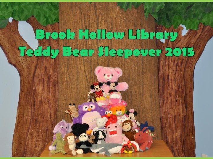 Teddy Bear Sleepover November 2015 Brook Hollow Library