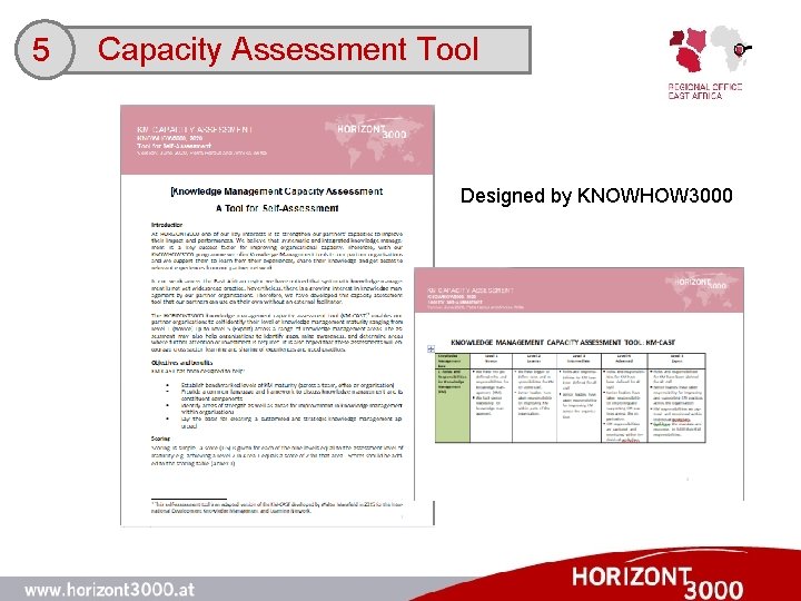 Knowledge Management for Beginners Session 2 Capacity Assessment