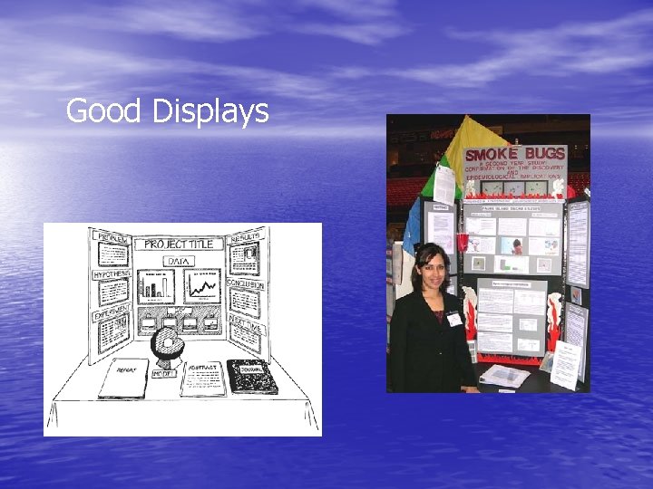 Science Fair Everything you always wanted to know