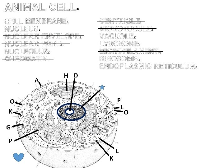 You need Nov 5 Clean paper pencil Cells