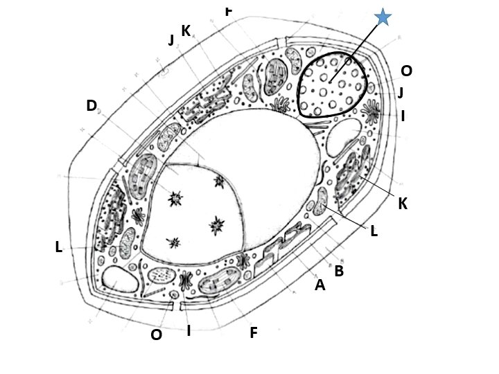 You need Nov 5 Clean paper pencil Cells