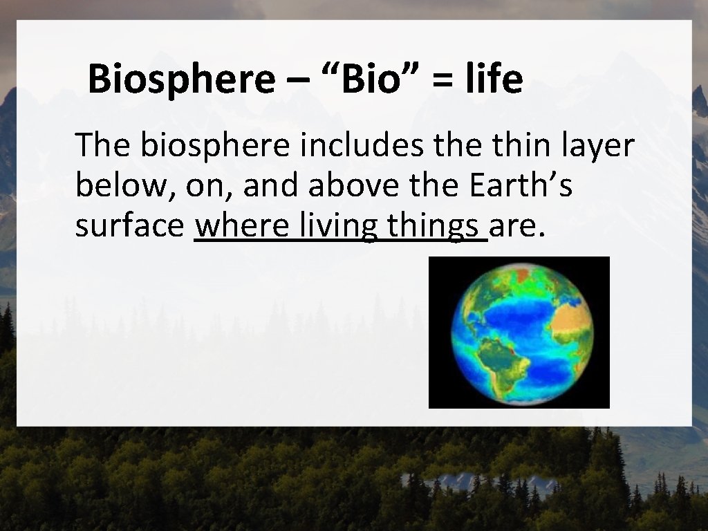 Earth Science Environmental Science Human Bingo Find someone