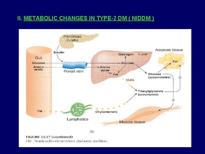 METABOLIC CHANGES IN DIABETES MELLITUS DIABETIC PREGNANT WOMAN
