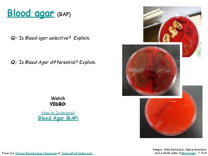 About Science Prof Online Power Point Resources Science