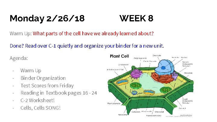 Monday 22618 WEEK 8 Warm Up What parts
