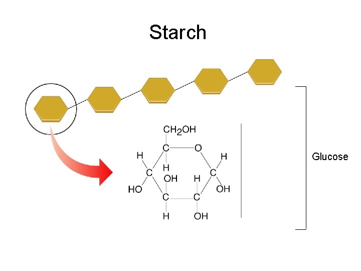 Understanding Organic Compounds Research Biology Objective What are