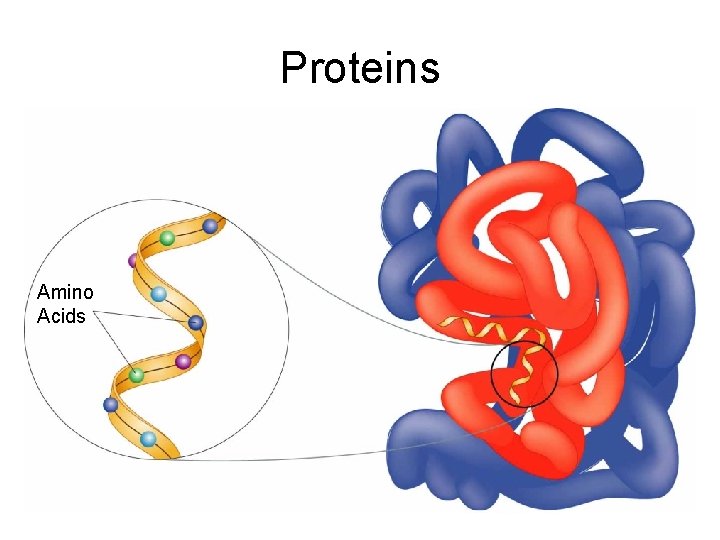 Understanding Organic Compounds Research Biology Objective What are