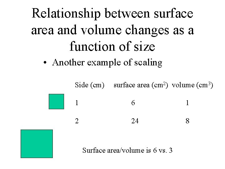 Lecture 2 Circulation and Gas Exchange I Chapter