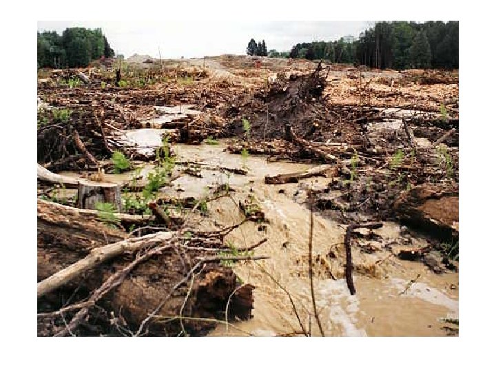 Erosion and Sedimentation Control Workshop Why are we