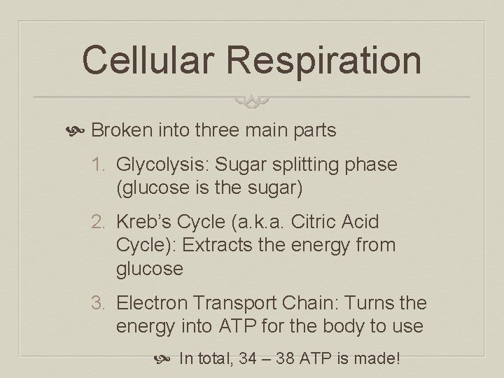 Photosynthesis Respiration Introduction to Energy Biochemistry Why do
