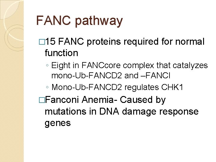 USP 1 Deubiquitinase maintains Phosphorylated CHK 1 by