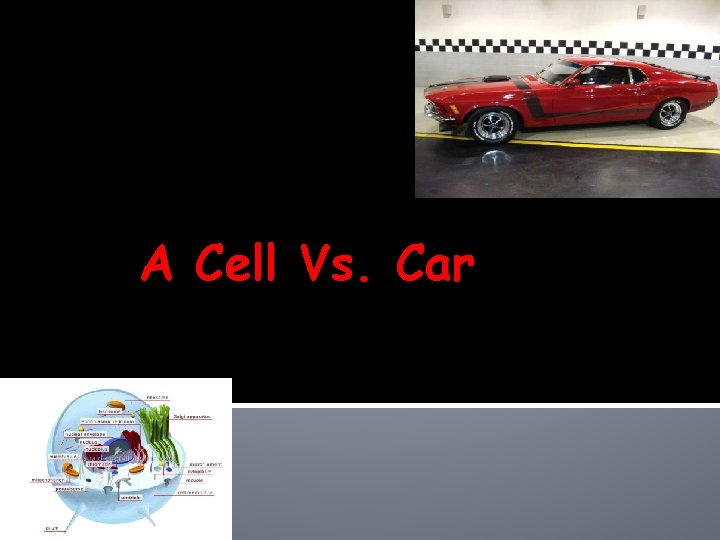 A Cell Vs Car The Nucleus is like