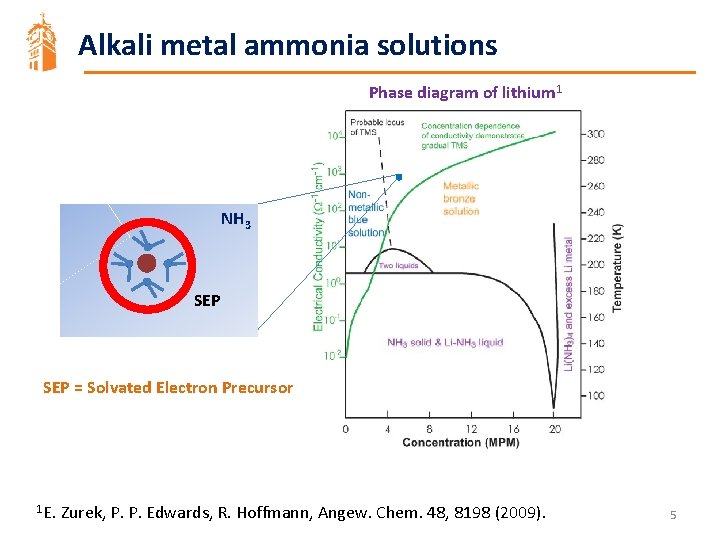 Metalammonia complexes disclose a secret periodic table of