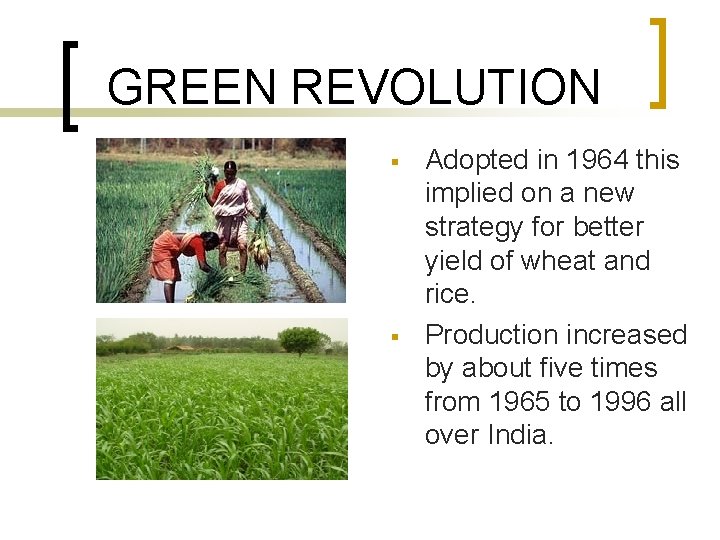 WHAT IS FOOD SECURITY FOOD SECURITY Food security