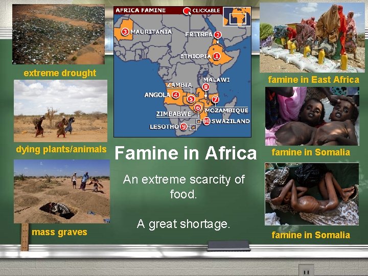 Hunger in Ethiopia extreme drought dying plantsanimals famine