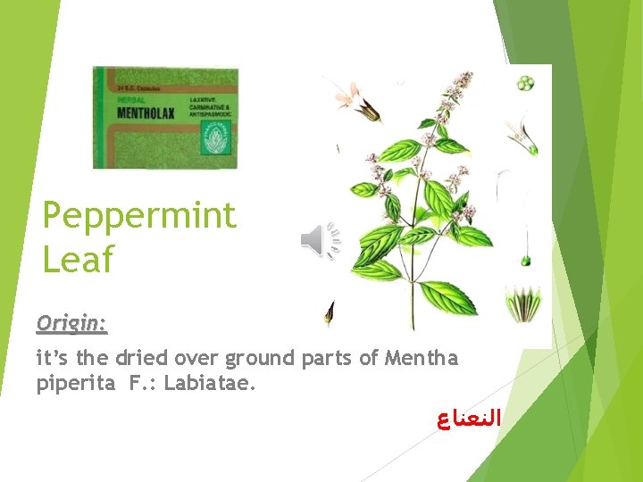 Peppermint Leaf Origin its the dried over ground