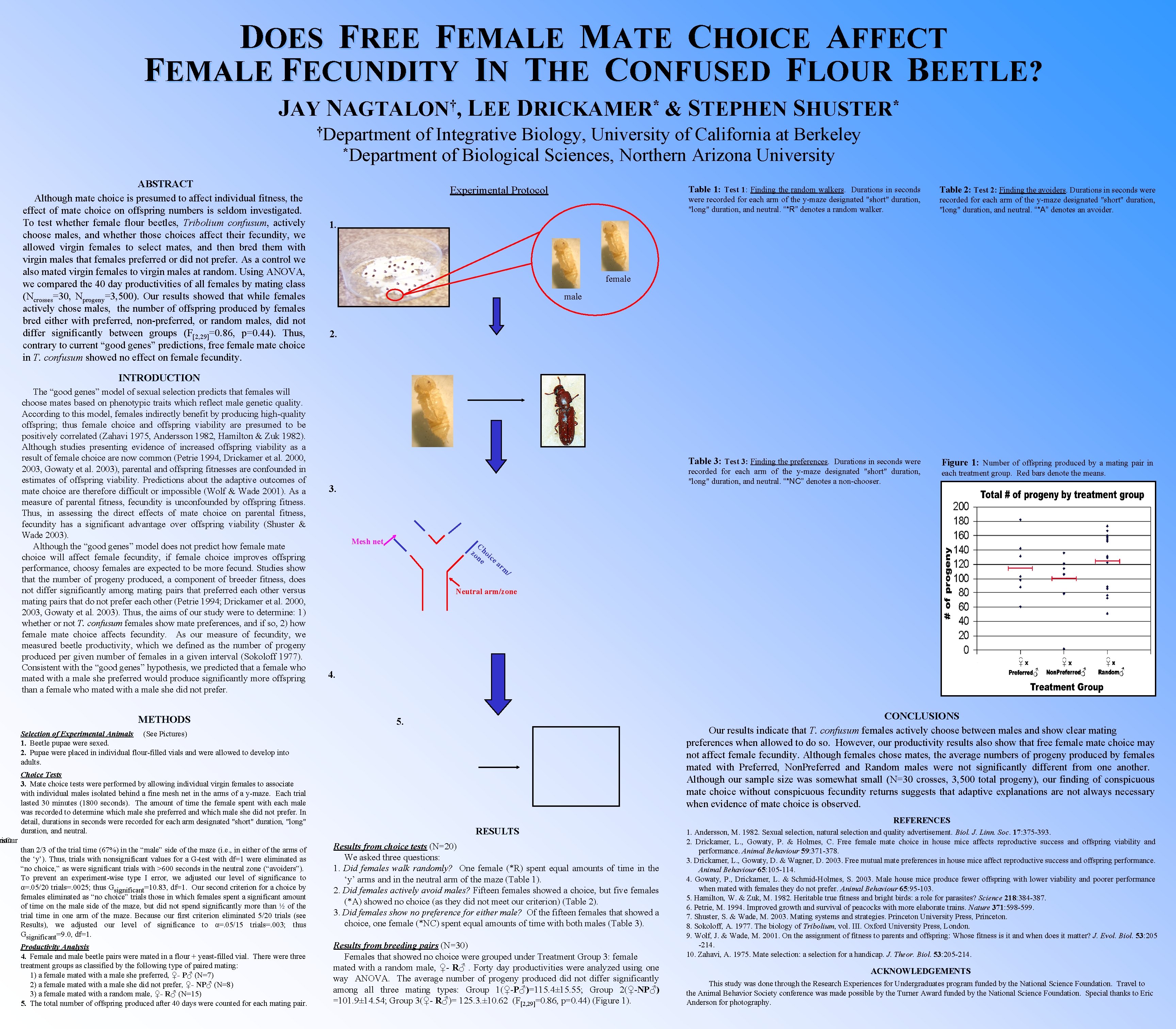 DOES FREE FEMALE MATE CHOICE AFFECT FEMALE FECUNDITY