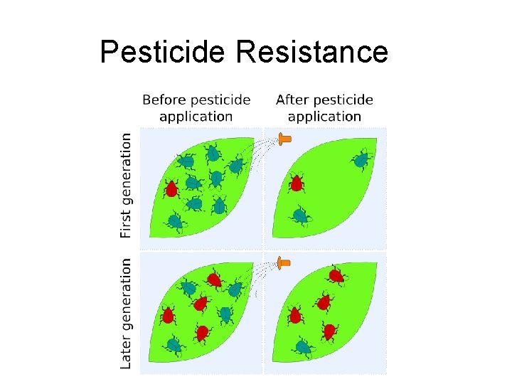 Pests and Pest Control Pests Any troublesome destructive