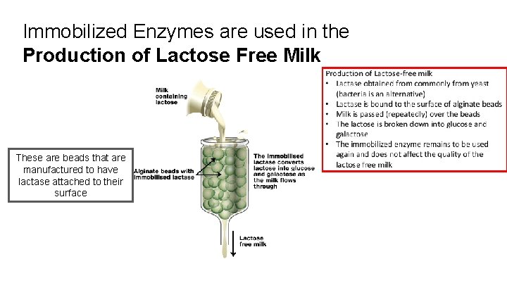 Industrial Applications of Enzymes Sector Detergents Role of