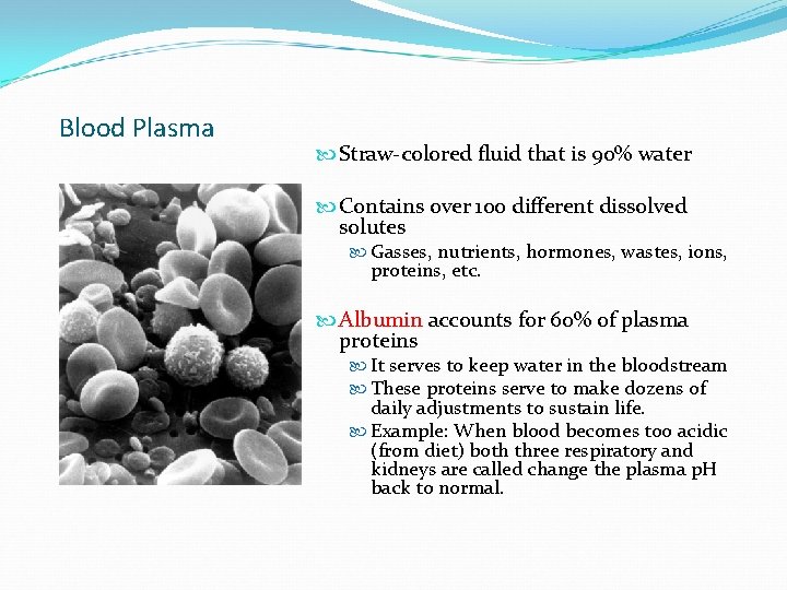 The Cardiovascular System Anatomy and Physiology UPA What