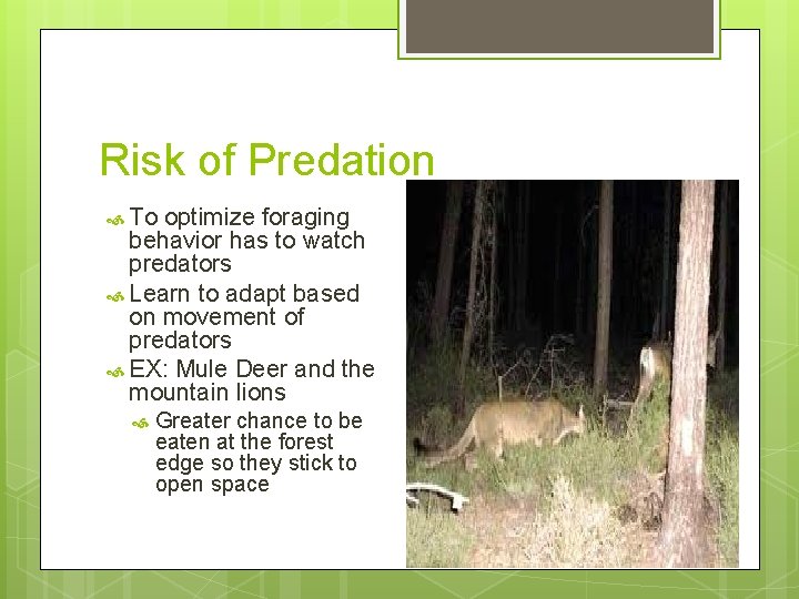 Natural selection favors behaviors that increase survival and