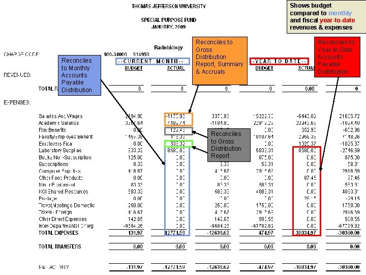 Reading a Budget Variance Report for Special Purpose