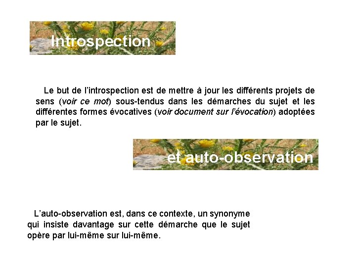 Introspection et Autoobservation Introspection La prise de conscience