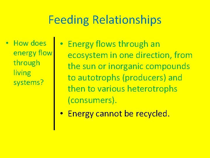 Feeding Relationships How does Energy flows through an
