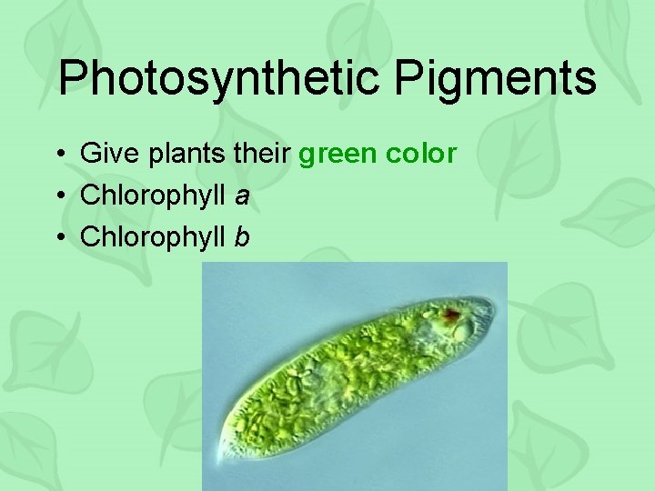 Photosynthesis Chapter 8 Photosynthesis Photosynthesis is the process
