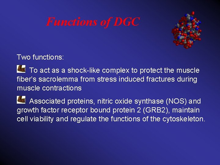 Dystrophin and Associated Muscle Proteins Kevin Cashman Biol