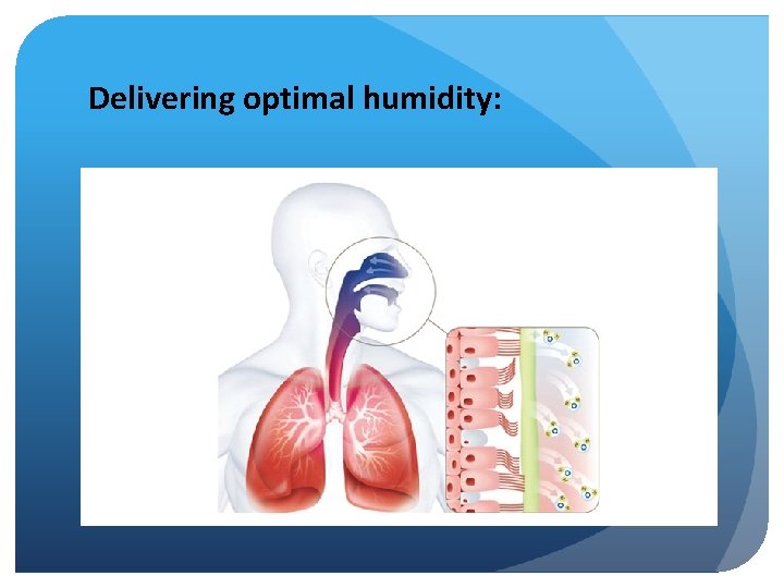 NASAL HIGH FLOW OXYGEN THERAPY Mairi Mascarenhas Clinical