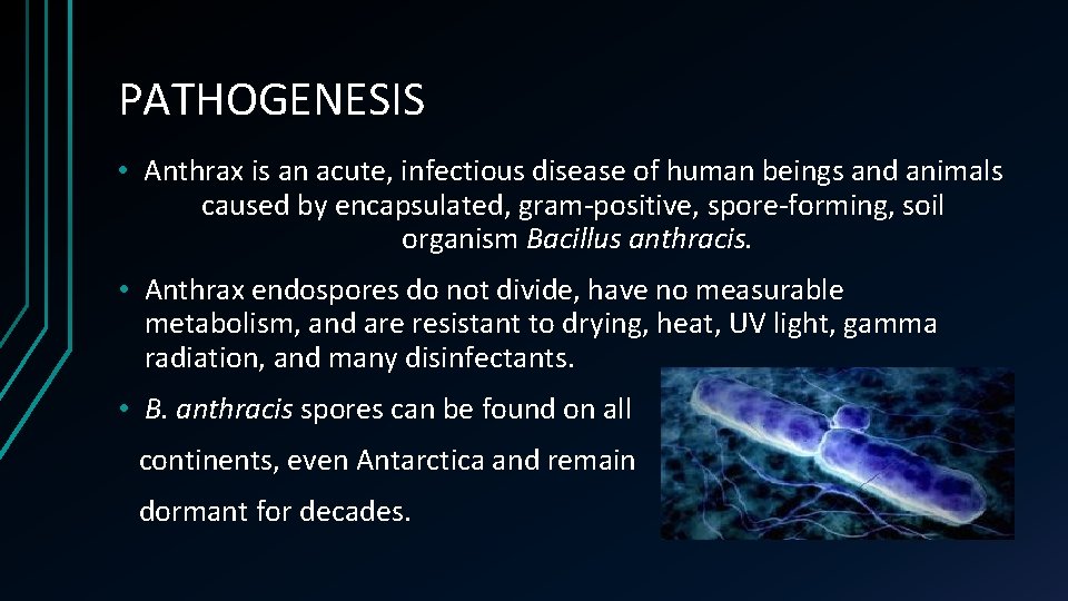 ANTHRAX MICROBIOLOGY 1420 BY NAGHMEH SHAHAMI PATHOGENESIS Anthrax