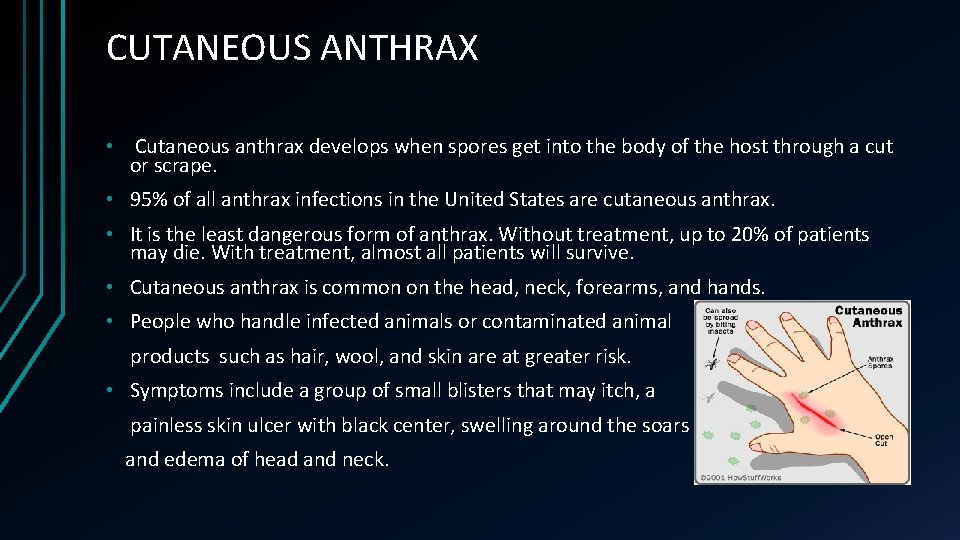 ANTHRAX MICROBIOLOGY 1420 BY NAGHMEH SHAHAMI PATHOGENESIS Anthrax