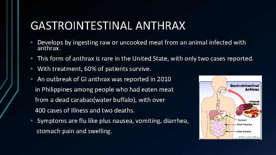 ANTHRAX MICROBIOLOGY 1420 BY NAGHMEH SHAHAMI PATHOGENESIS Anthrax