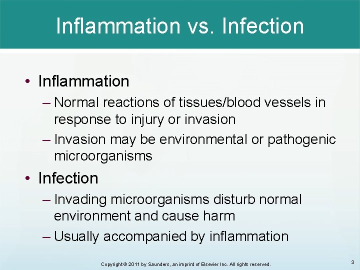 AntiInflammatory Drugs Copyright 2011 by Saunders an imprint