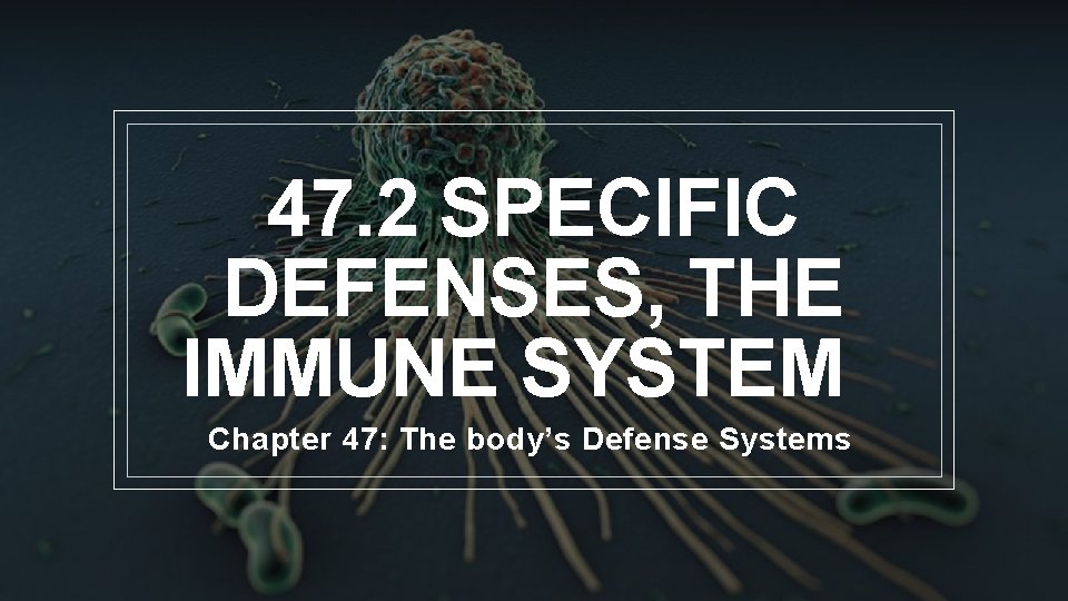 47 2 SPECIFIC DEFENSES THE IMMUNE SYSTEM Chapter