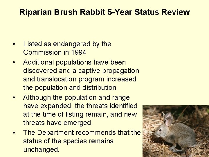 5 Year Species Review Riparian Brush Rabbit Sylvilagus